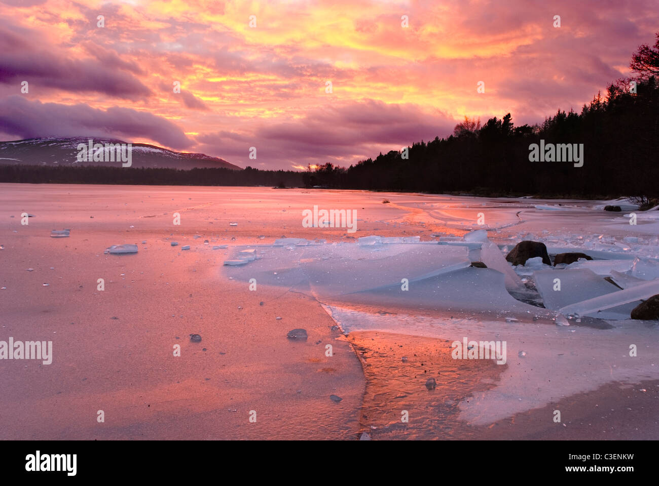 Loch morlich winter hi-res stock photography and images - Alamy