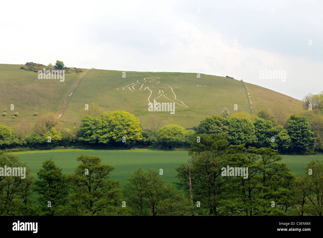 Cerne Abbas giant, is a hill figure of a giant naked man on a hillside ...