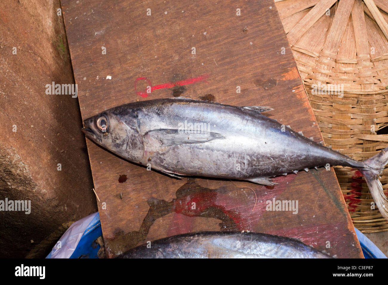 Goa calangute fish market hi-res stock photography and images - Alamy