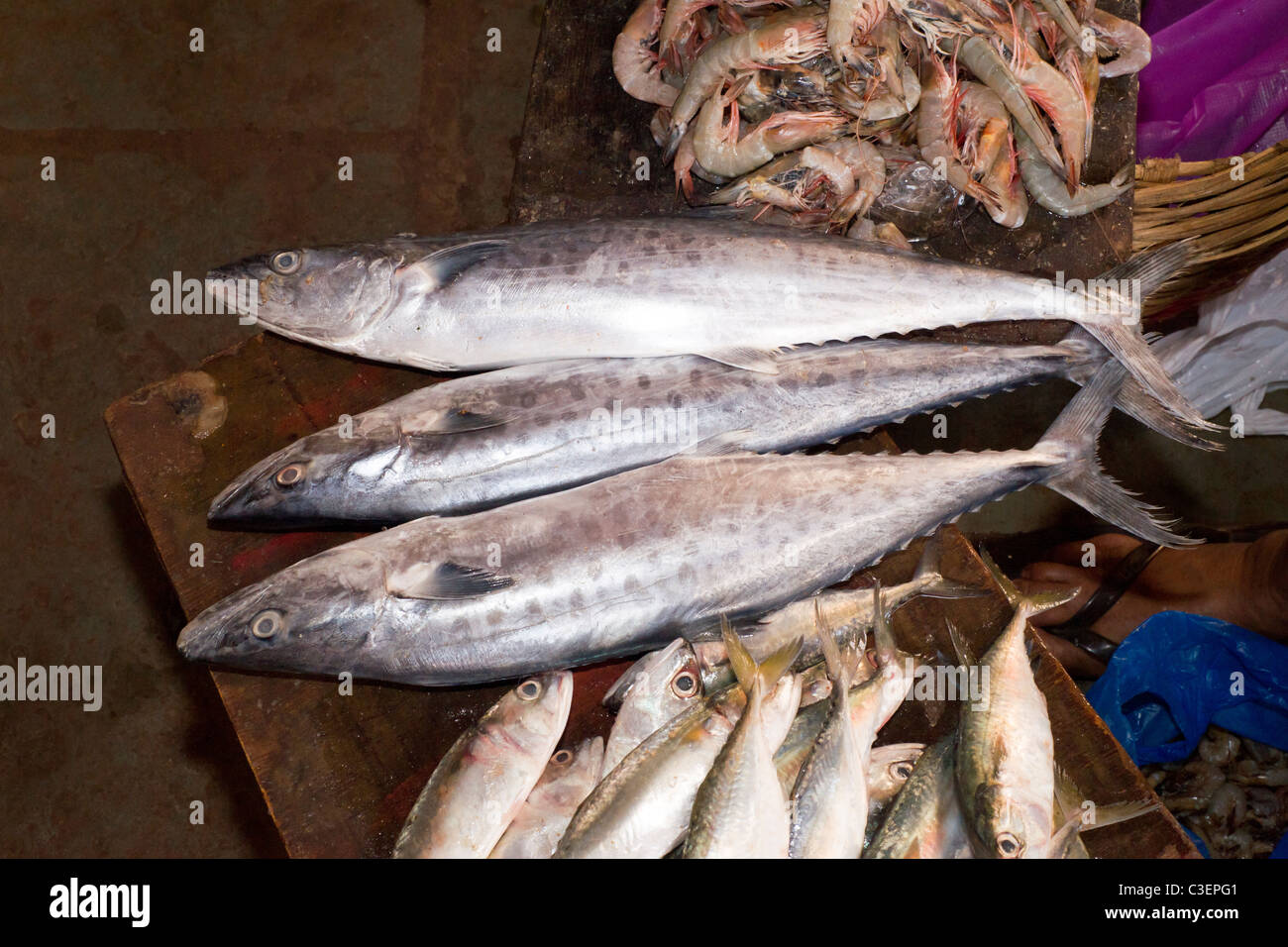 Goa fishmarket hi-res stock photography and images - Alamy