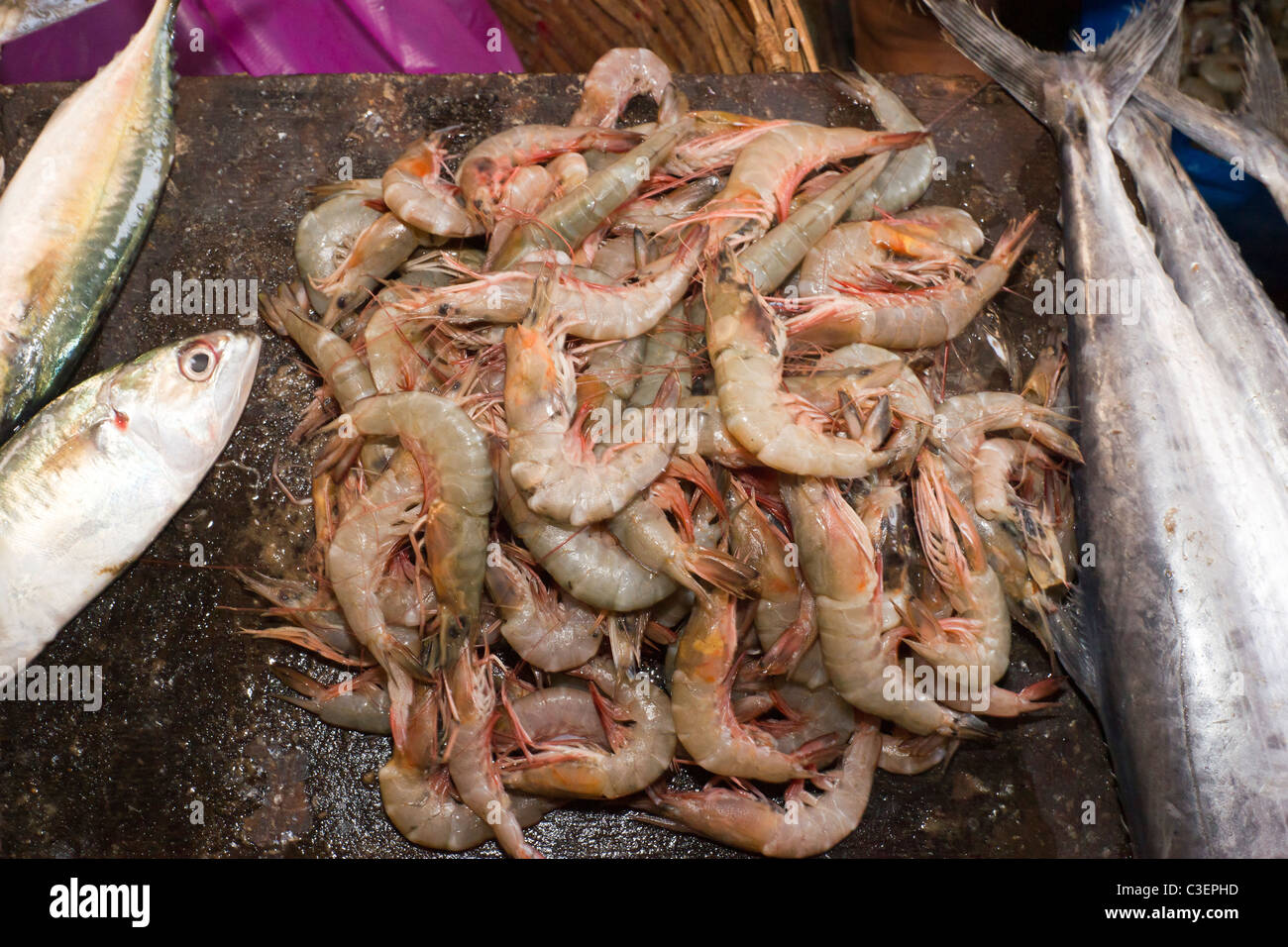 Goa fishmarket hi-res stock photography and images - Alamy