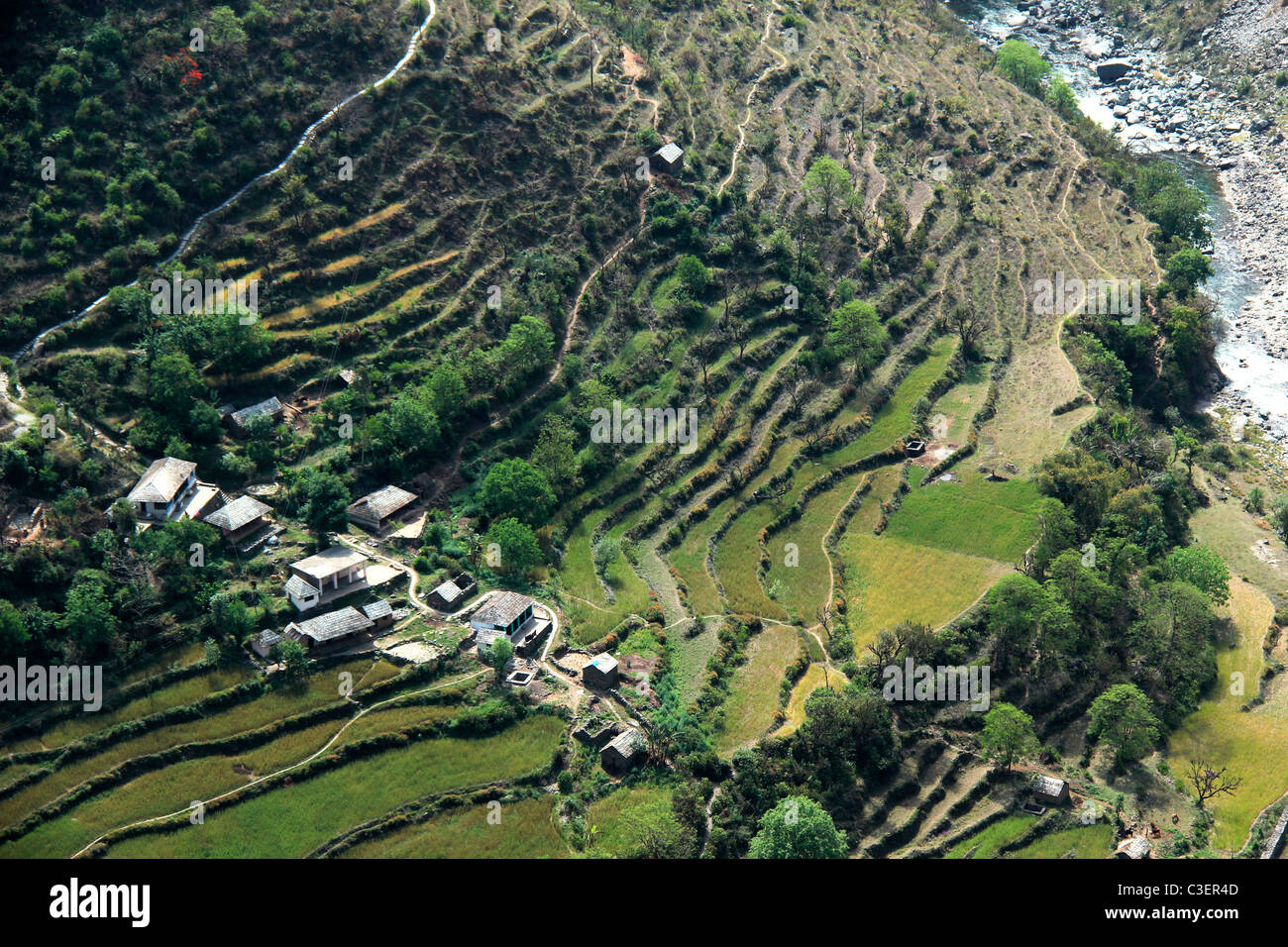 A view of stepped cultivation in the hilly region of Himachal Pradesh ...