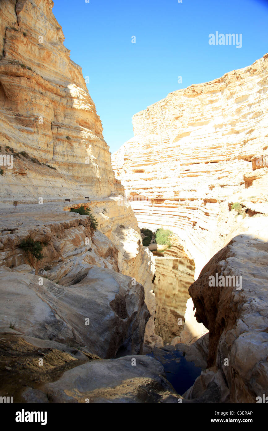 Nature of israel hi-res stock photography and images - Alamy