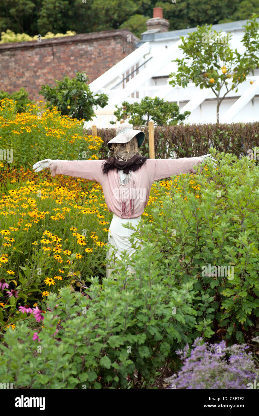 Crow scaring hi-res stock photography and images - Alamy