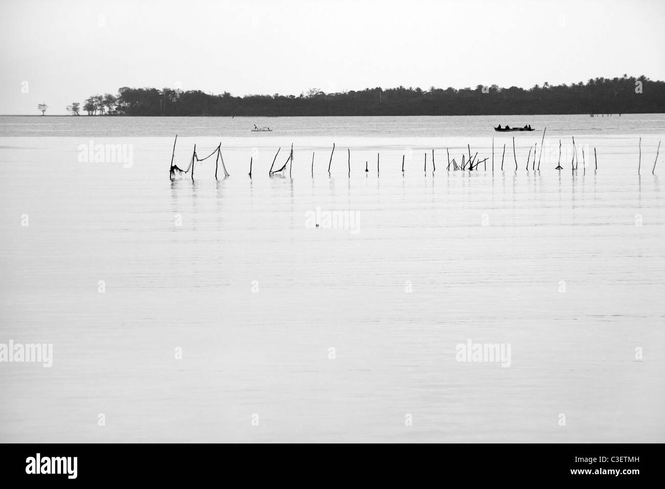 Photo sea fish in Black and White Stock Photos & Images - Alamy