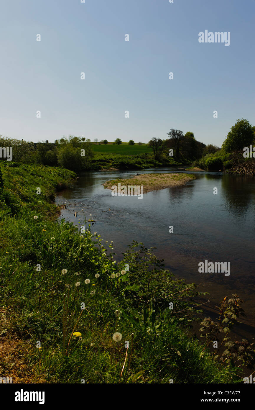 River tweed salmon hi-res stock photography and images - Alamy