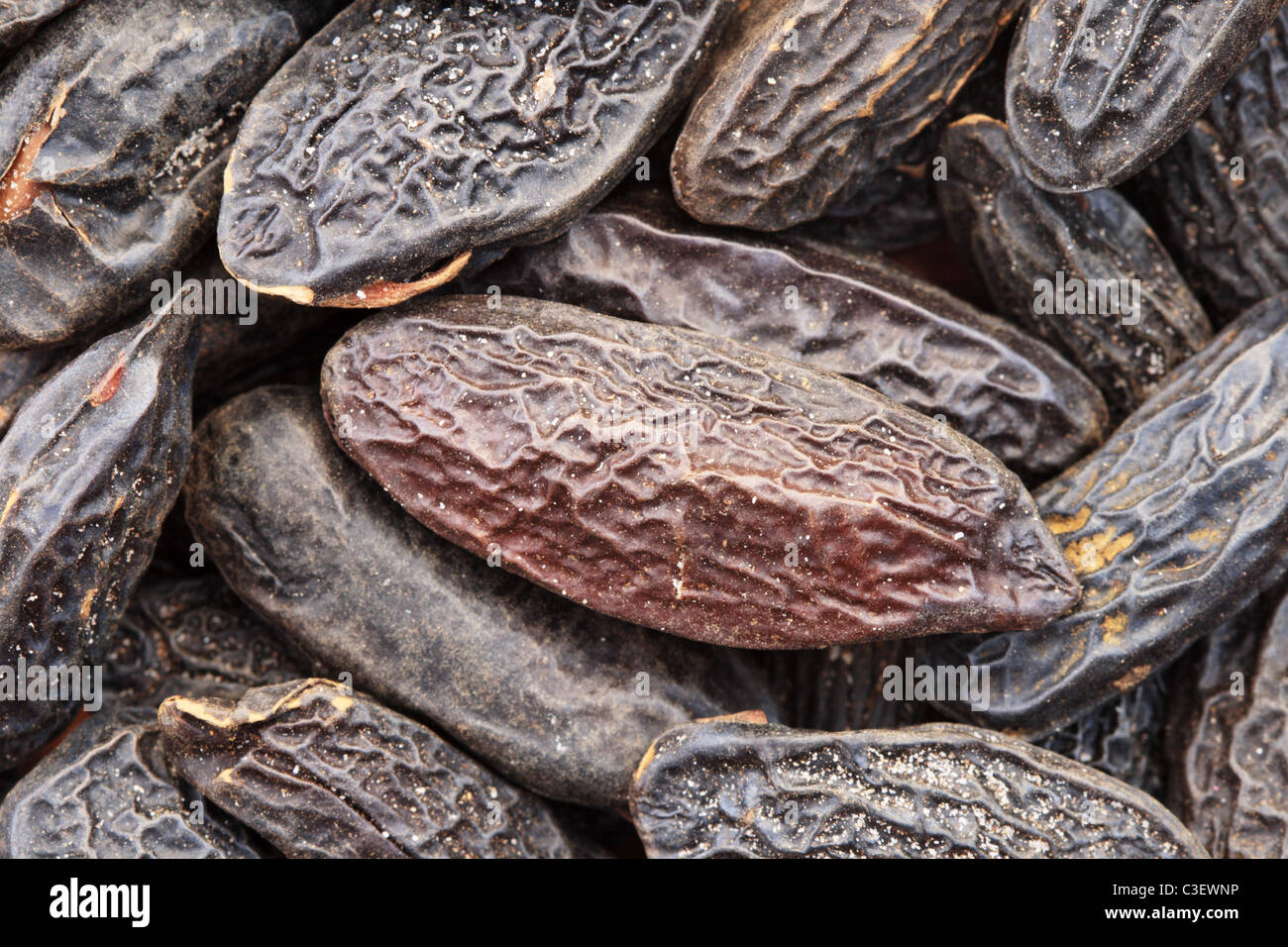 background macro image of tonka beans (Dipteryx odorata Stock Photo - Alamy