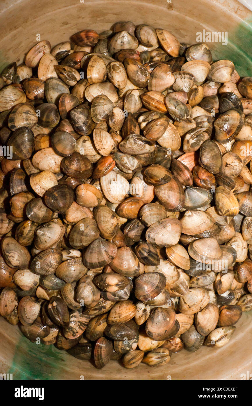 Goa calangute fish market hi-res stock photography and images - Alamy