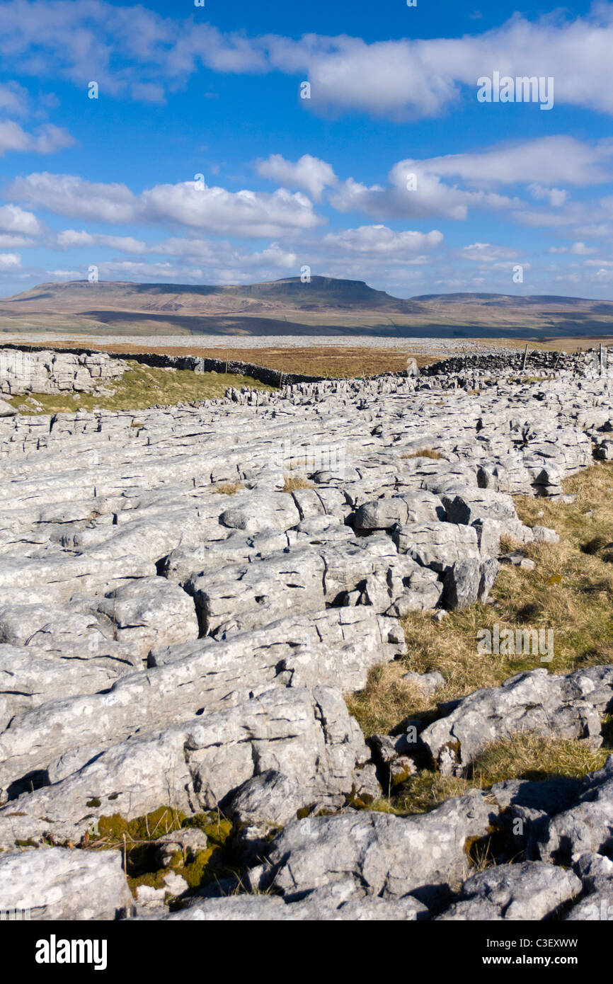 Limestone pavement and Pen-y-ghent Yorkshire Dales UK Stock Photo - Alamy