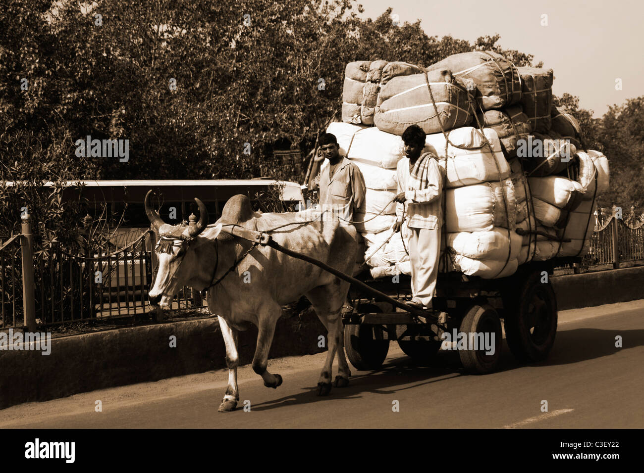 People carrying goods on a bullock cart, New Delhi, India Stock Photo ...