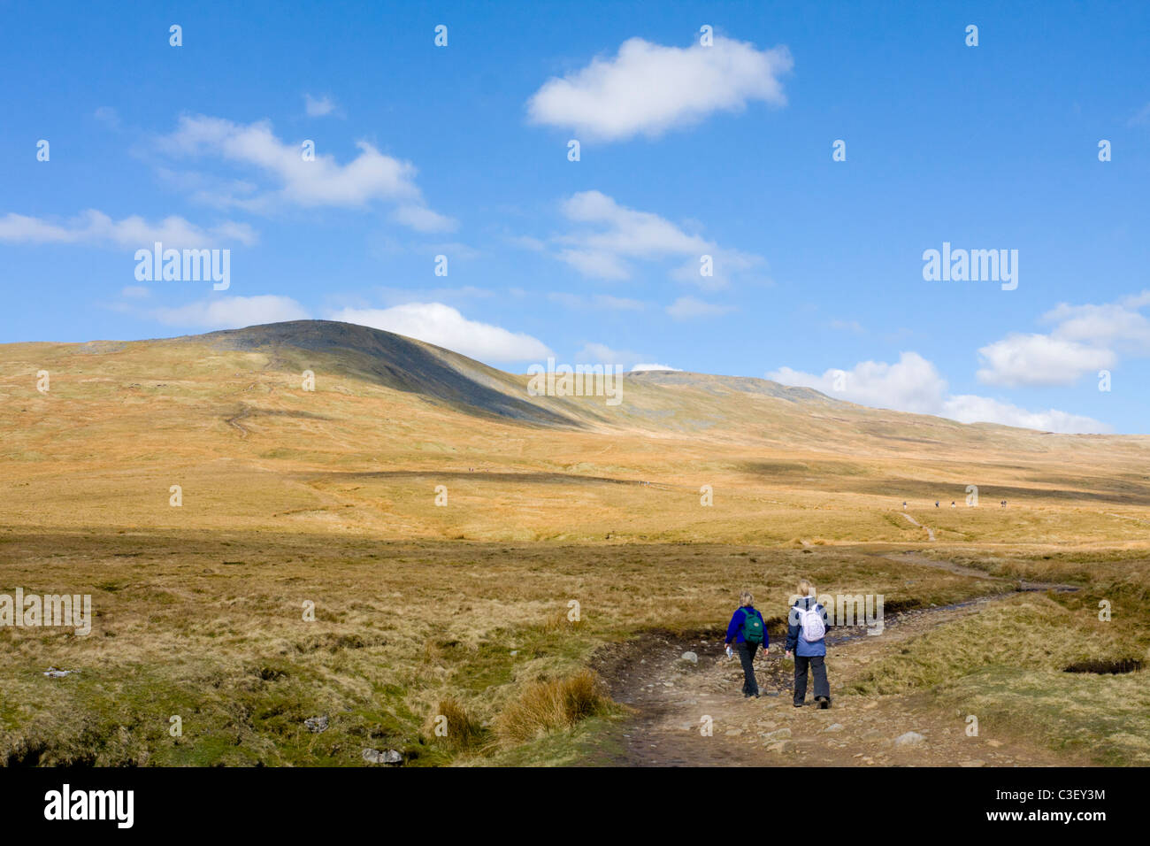 Path to Ingleborough peak in the Yorkshire Dales UK Stock Photo - Alamy