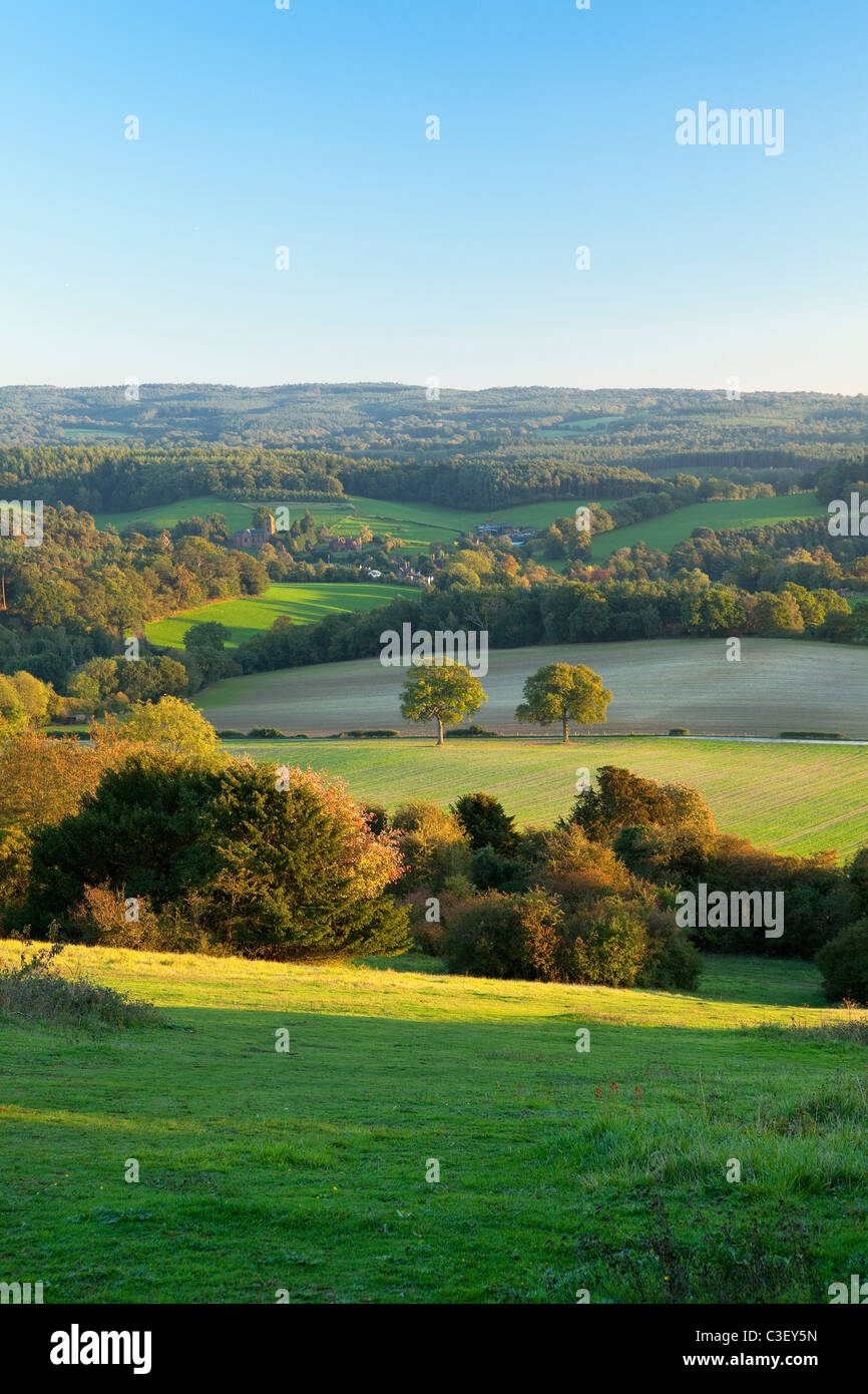 Autumn beauty surrey hi-res stock photography and images - Alamy