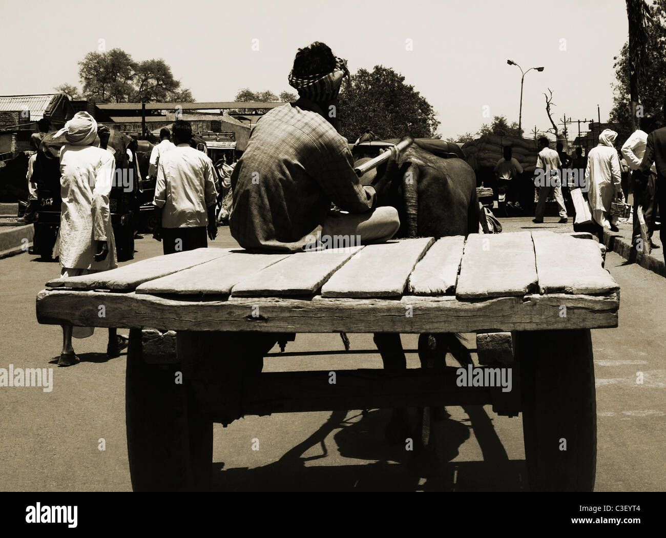 Animal powered vehicle hi-res stock photography and images - Alamy