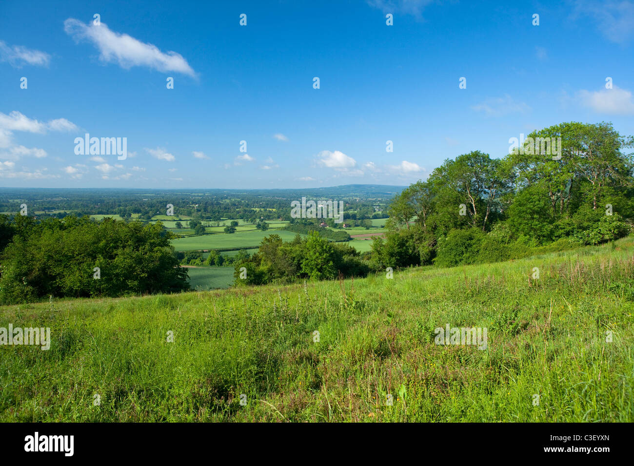 View across the Surrey Hills from Colley Hill near Reigate in summer ...
