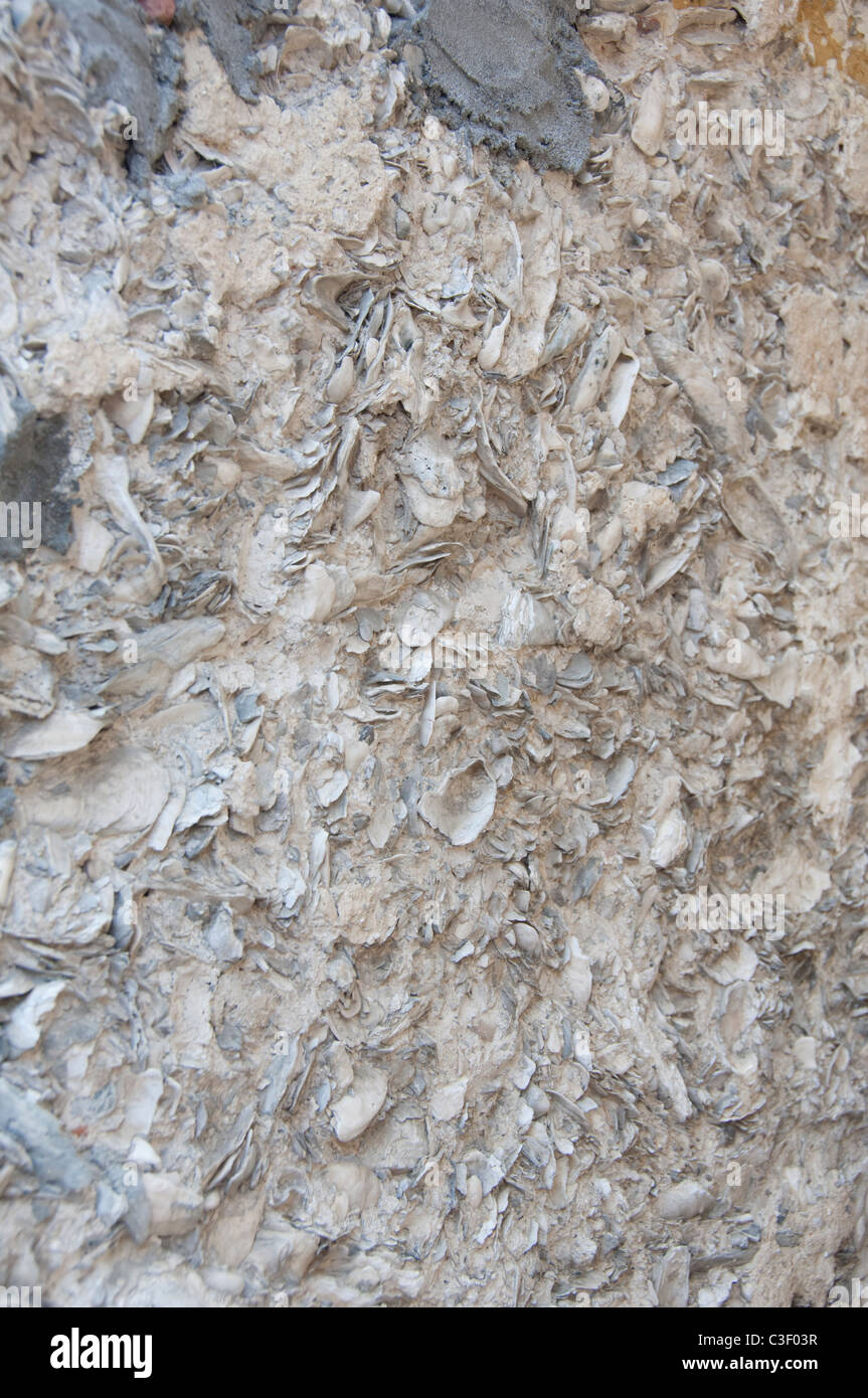 Tabby Concrete Stock Photos & Tabby Concrete Stock Images - Alamy