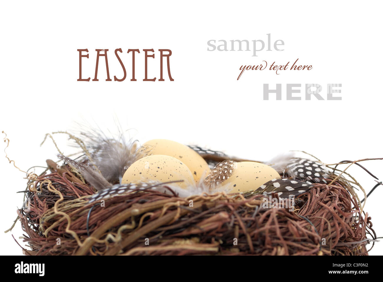 Birds nest with eggs (Easter composition). With sample text Stock Photo ...