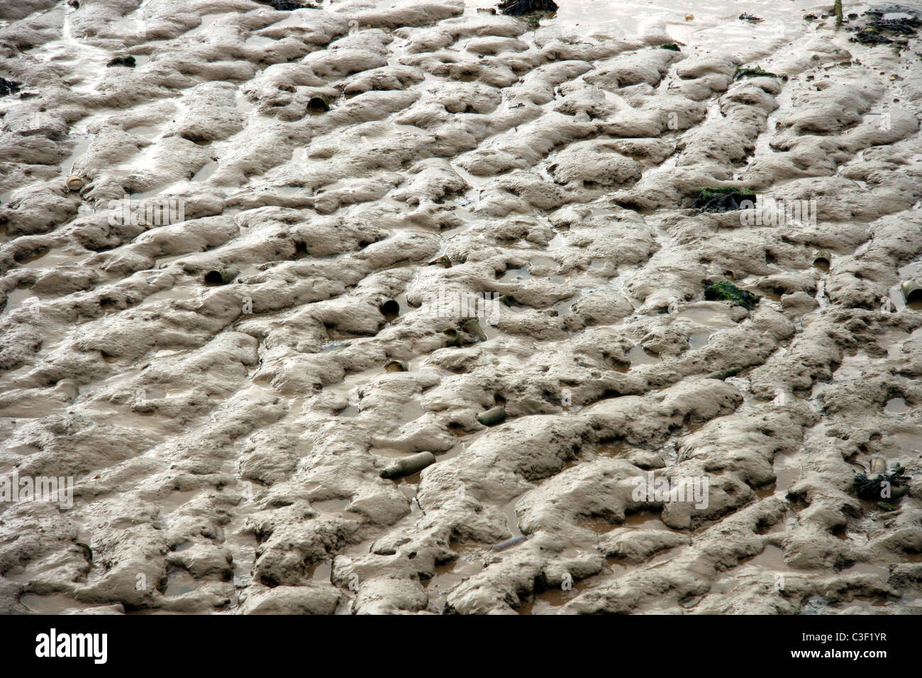 Close up of river mud Stock Photo - Alamy