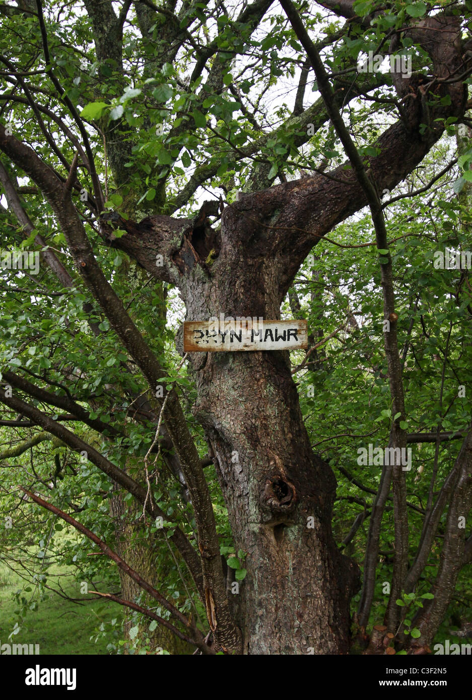 Sign for Bryn Mawr, original home of Rowland Ellis, Quaker who ...
