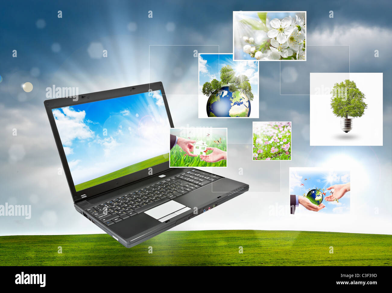 Colorful collage of laptop against green nature background Stock Photo ...