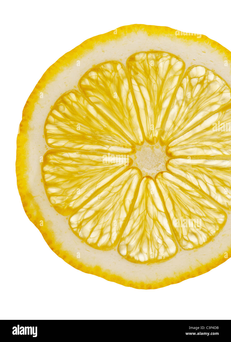 Section lemon. The detailed photo on a gleam. It is isolated on a white ...