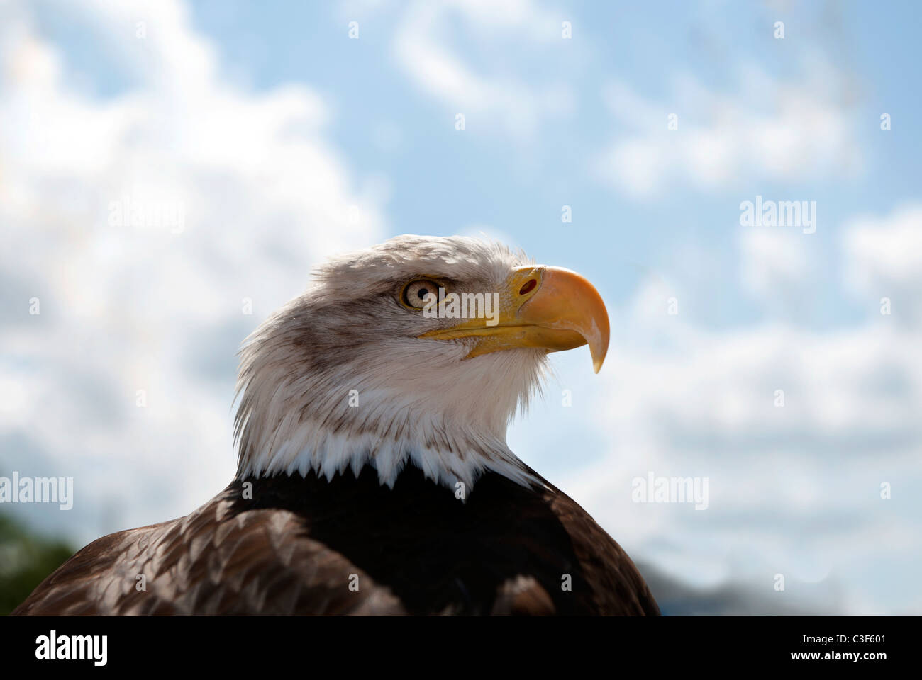 Hunt edmunds hi-res stock photography and images - Alamy