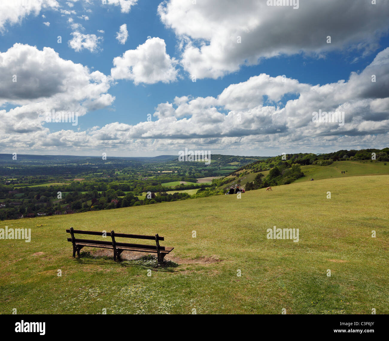 Reigate Hill, North Downs Stock Photo - Alamy