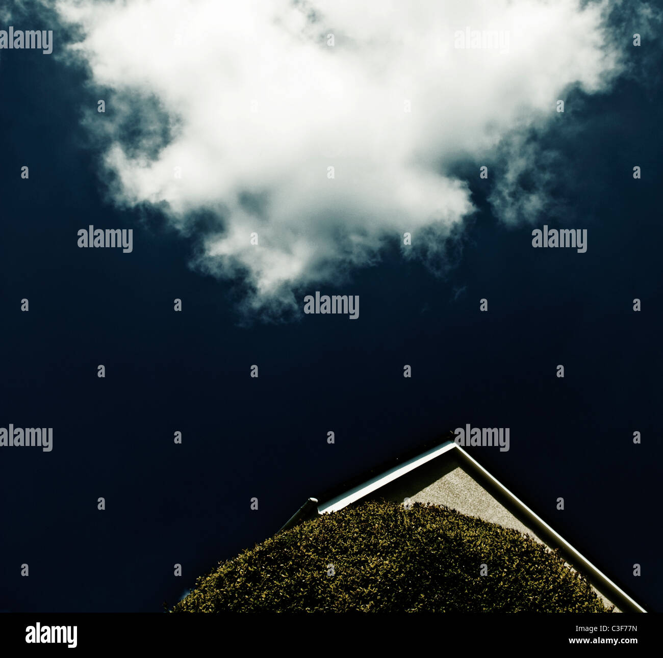 House cloud and bush Stock Photo - Alamy