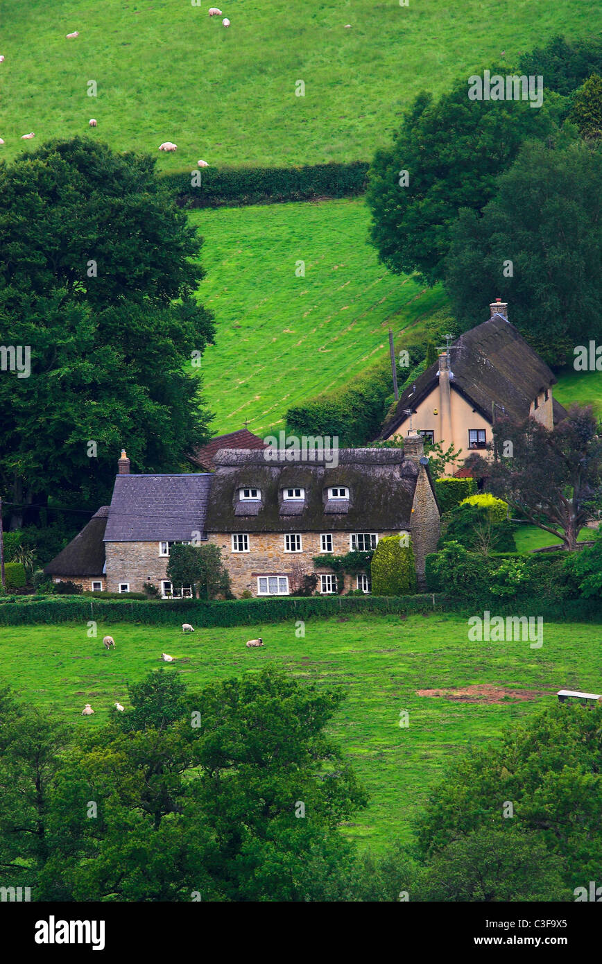 The lost village of Loscombe, nestled in the hills of West Dorset, May ...