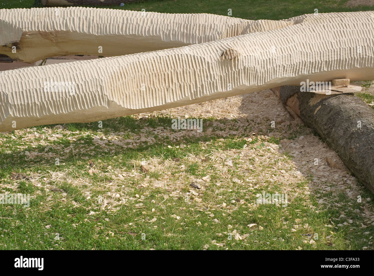 Carpentry and Woodworking as Symbol of Eco Sustainability Stock Photo ...