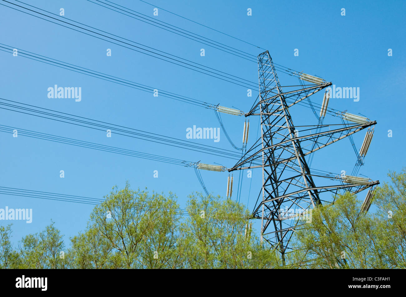 Electricity Pylon with Willow Trees below - against a blue sky. UK ...
