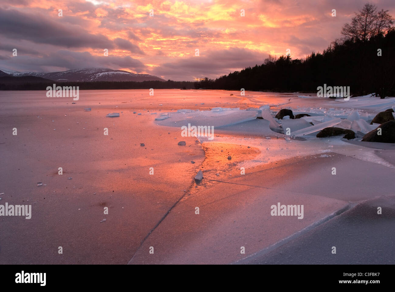 Loch morlich winter hi-res stock photography and images - Alamy