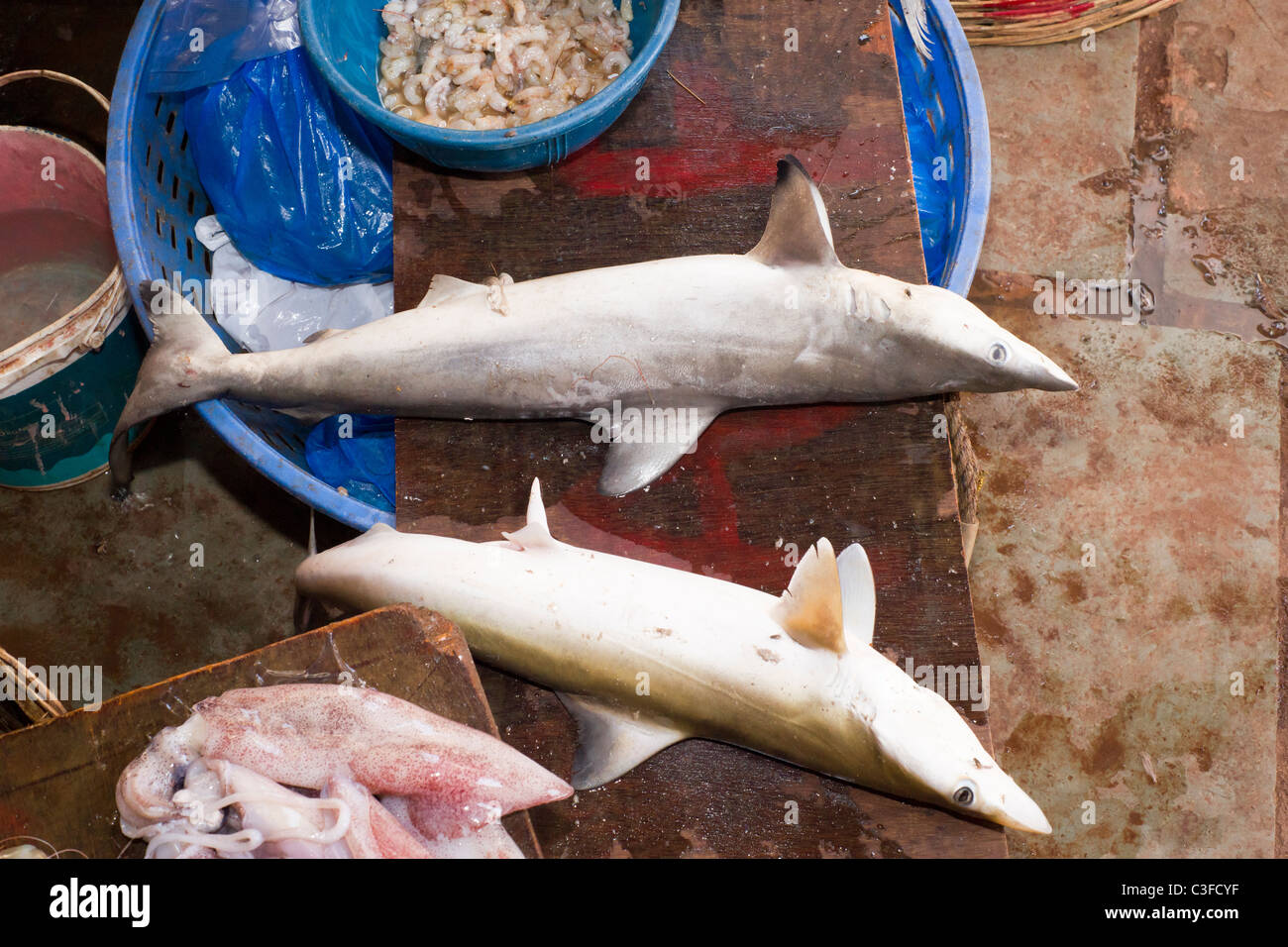 Goa calangute fish market hi-res stock photography and images - Alamy