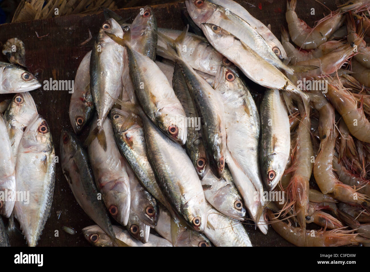 Goa calangute fish market hi-res stock photography and images - Alamy