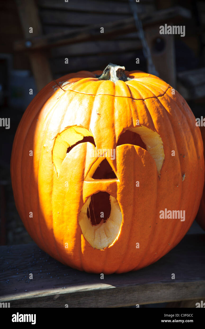 Pumpkin carved into jack o' lantern for Halloween Stock Photo - Alamy