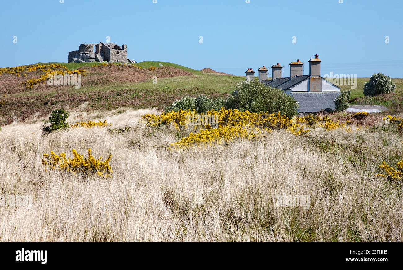 Tresco hi-res stock photography and images - Alamy