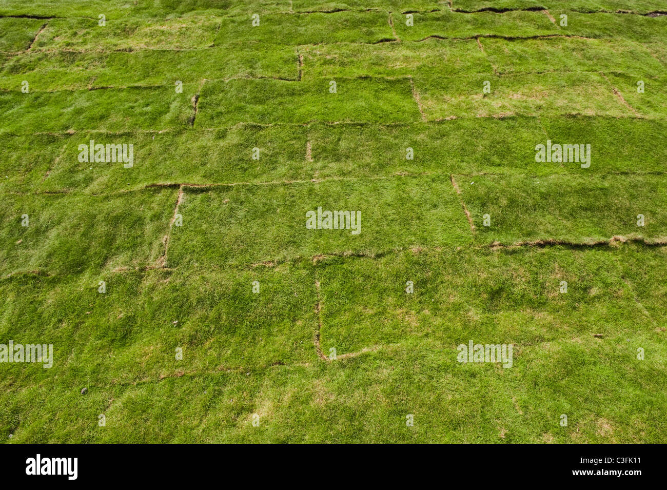Turfs hi-res stock photography and images - Alamy