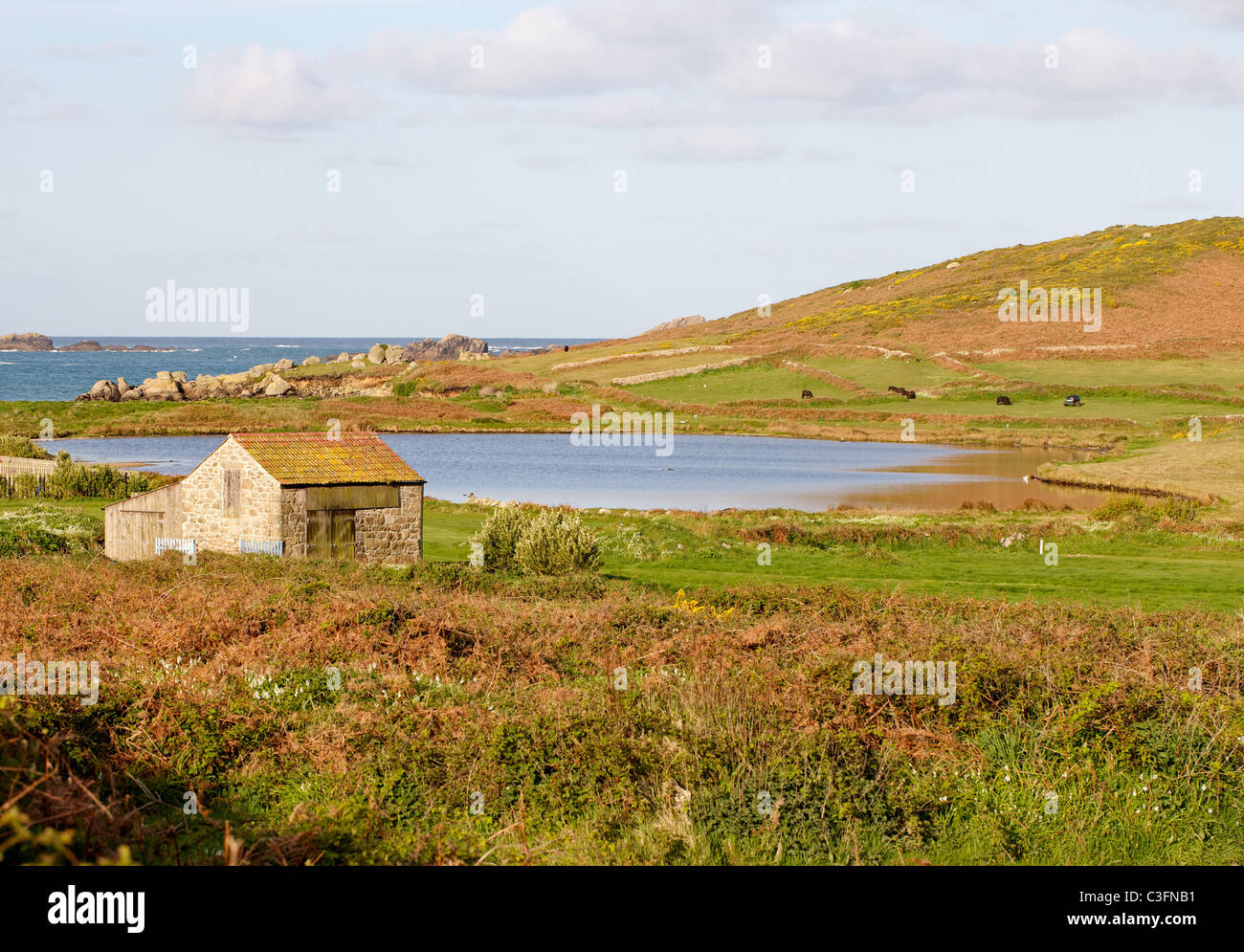 Great Pool Scilly Isles High Resolution Stock Photography and Images ...