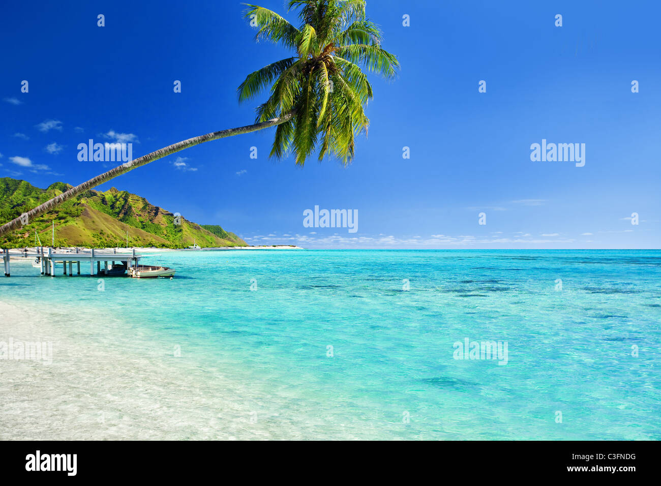 Palm tree hanging over stunning lagoon with jetty Stock Photo - Alamy