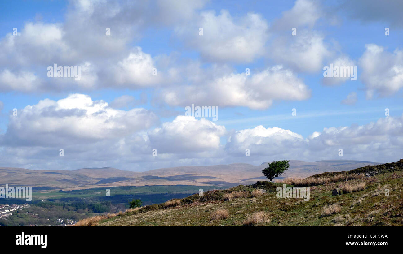 Lone tree and cumulus clouds above Ystalyfera, Swansea Valley, with the ...