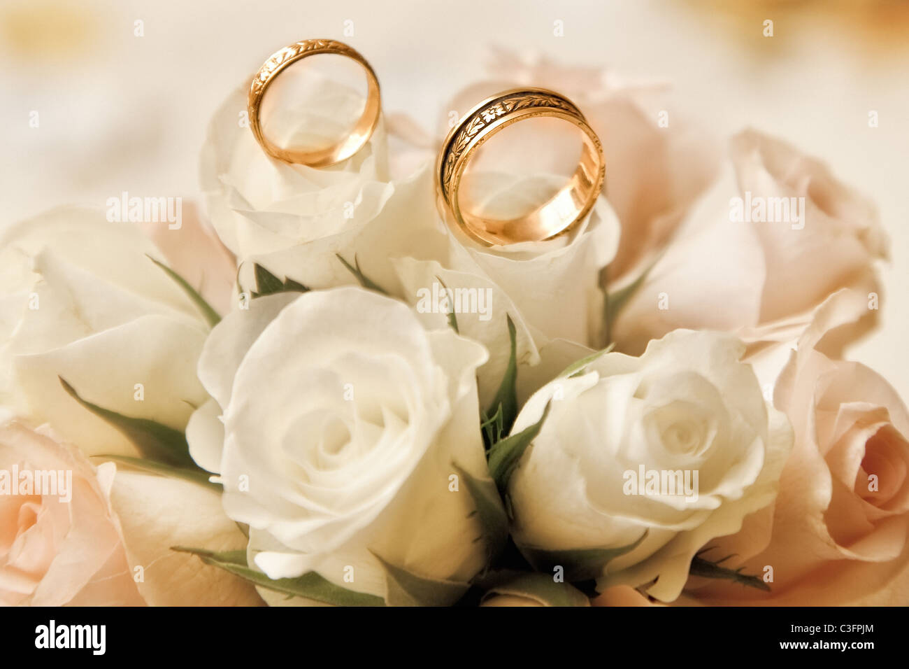 Two ornate rings hi-res stock photography and images - Alamy