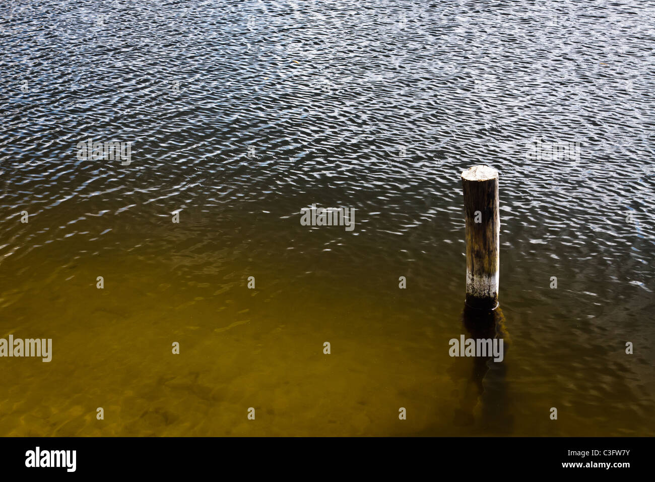 Wooden picket in lake Stock Photo - Alamy