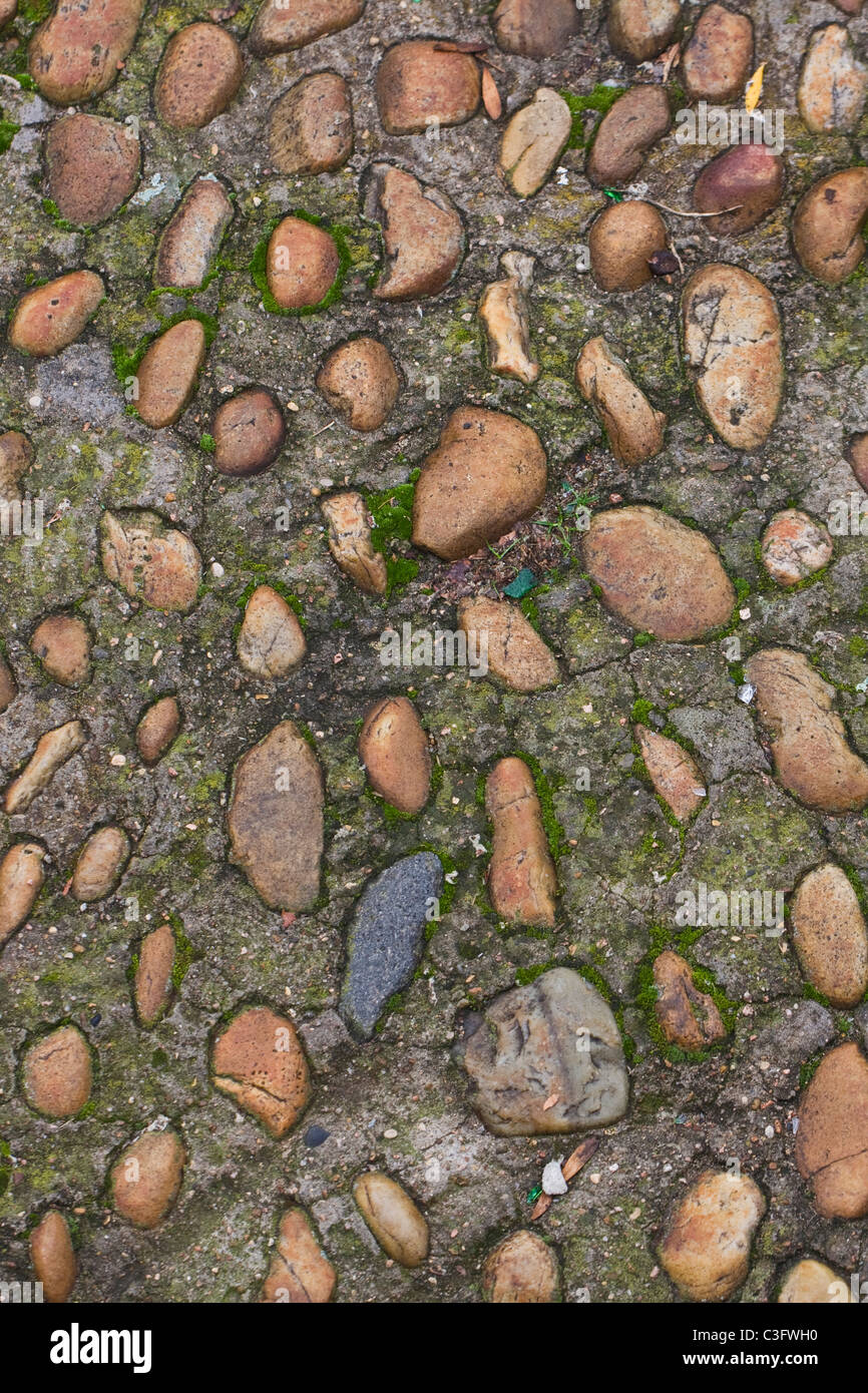 cobblestones with moss and grass Stock Photo - Alamy