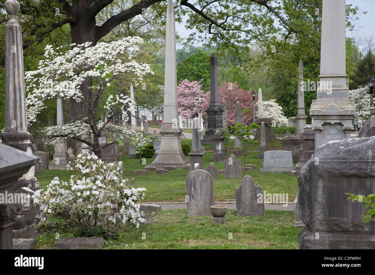 Old Gray Cemetery Stock Photo - Alamy