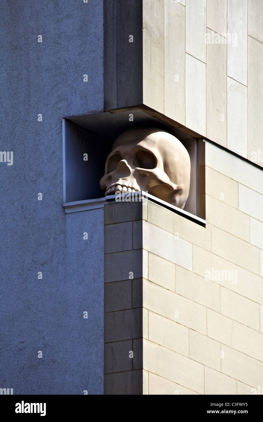 Curved skull with large teeth hi-res stock photography and images - Alamy