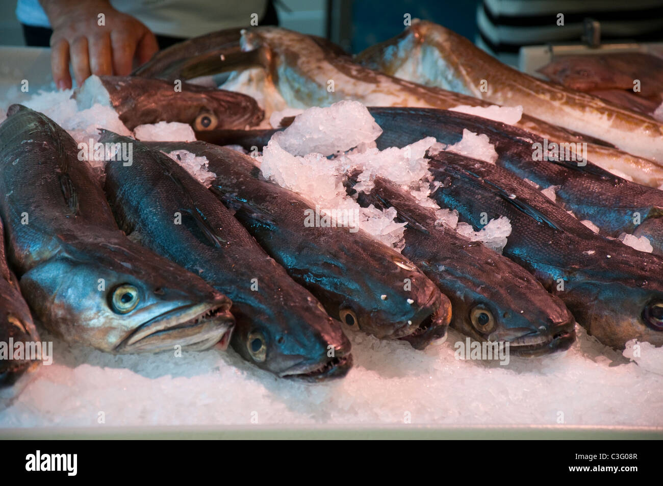 Medieval fish market hi-res stock photography and images - Alamy