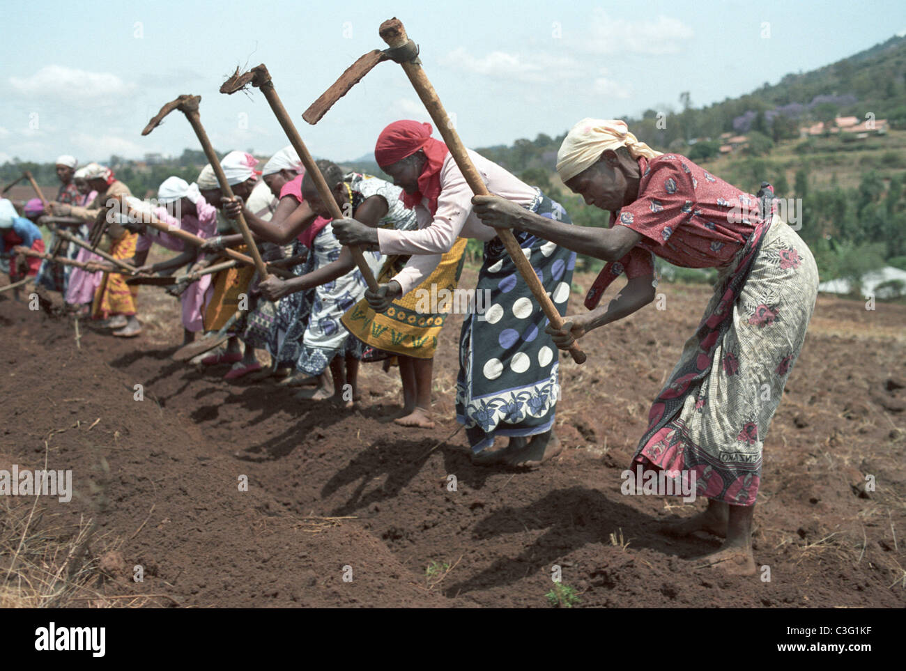 Kenya. Women's group digging terraces Stock Photo - Alamy