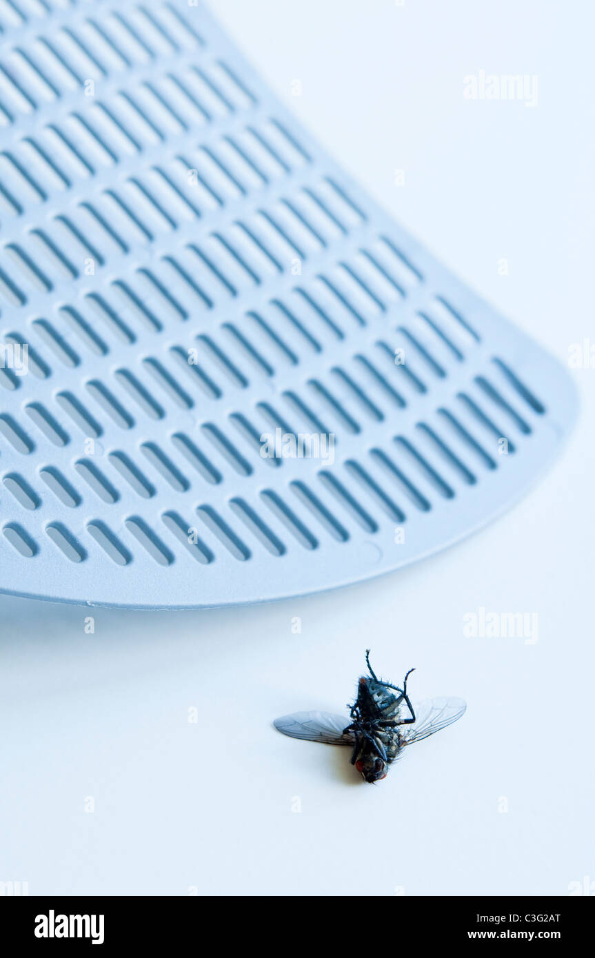 Dead Fly and Swat Stock Photo - Alamy