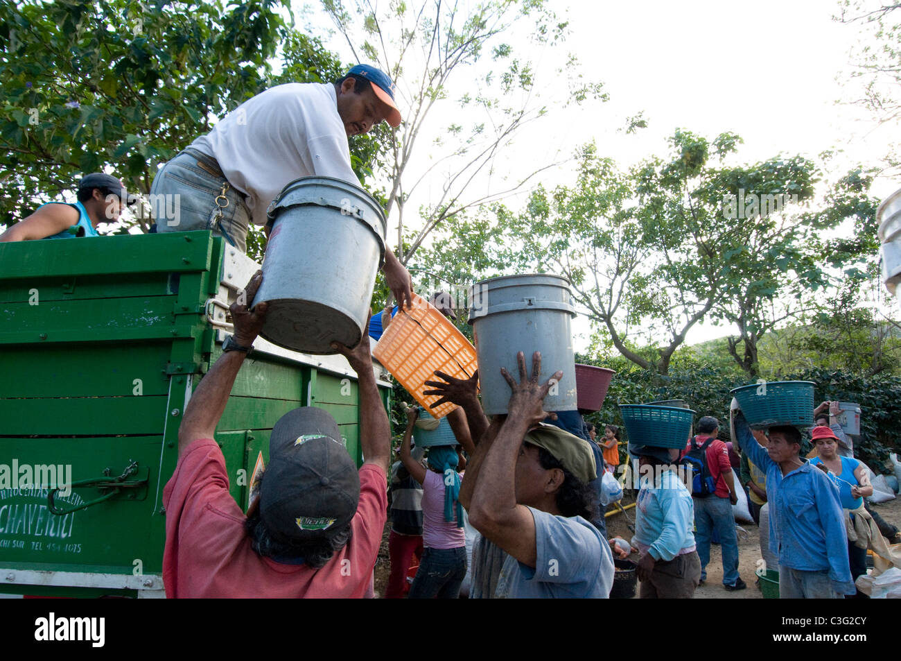 Coffee picking costa rica hi-res stock photography and images - Alamy