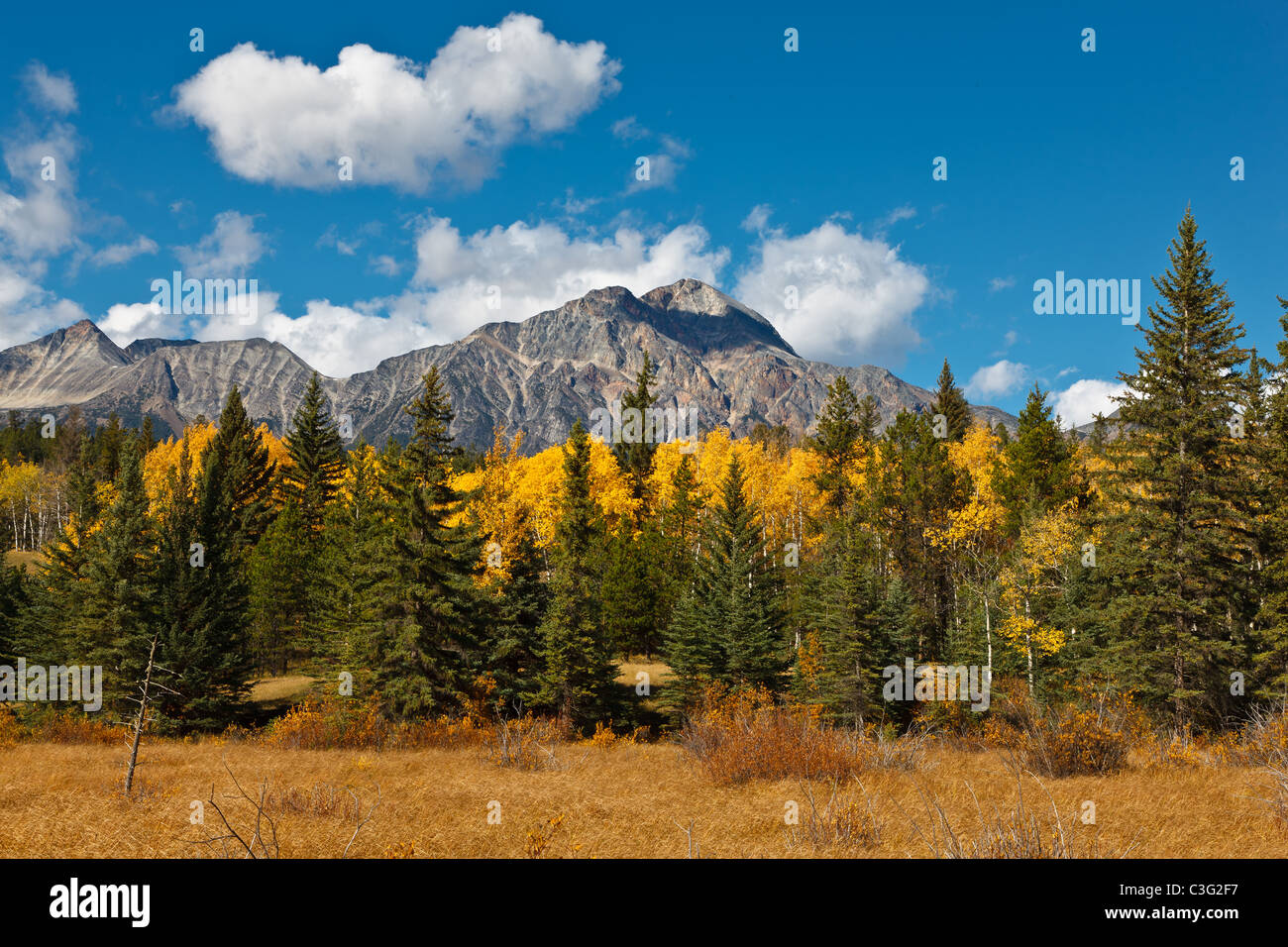 Pyramid Mountain, Jasper National Park, Alberta, Canada Stock Photo - Alamy