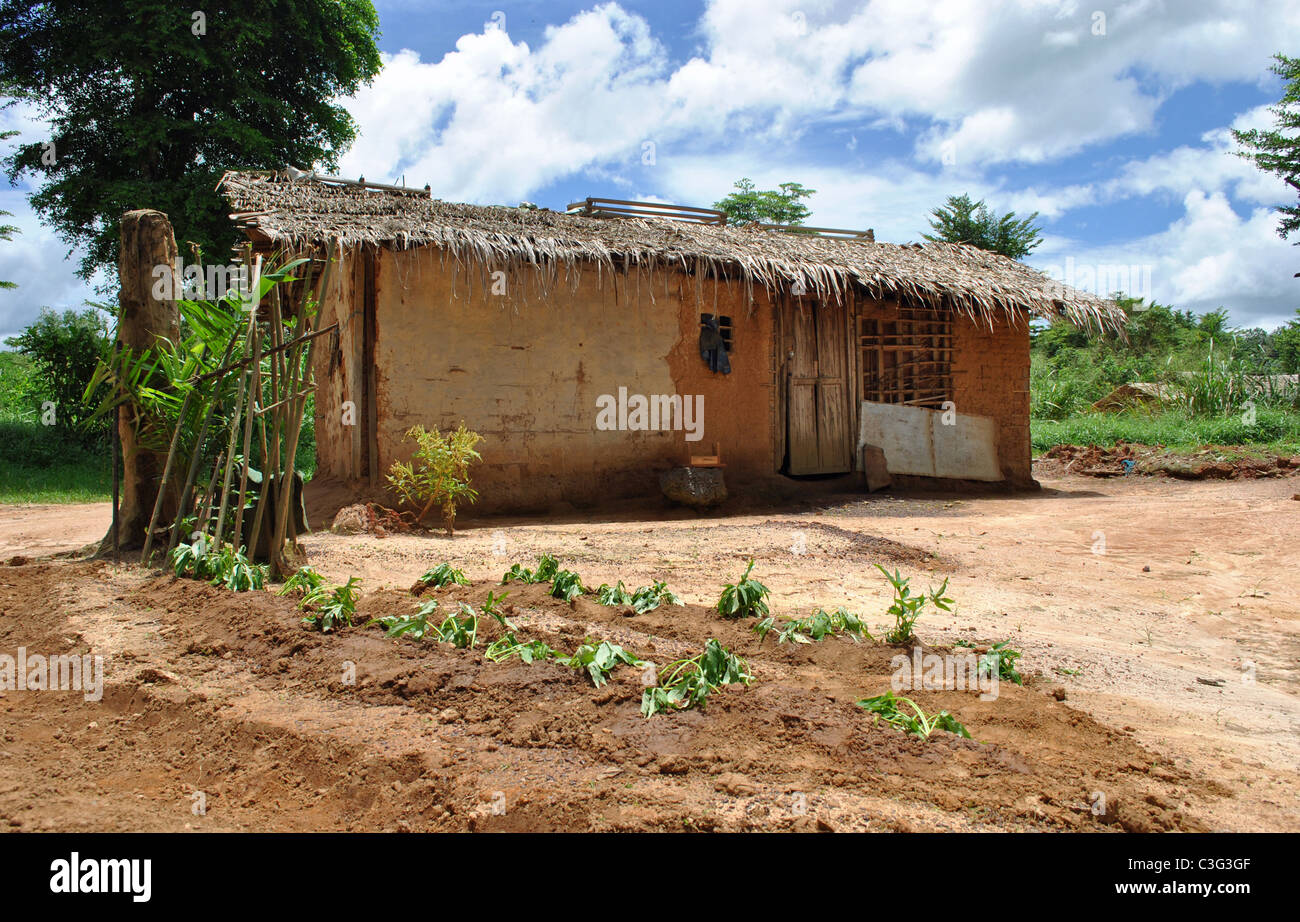 Subsistence farming in rural Ivory Coast, West Africa Stock Photo - Alamy